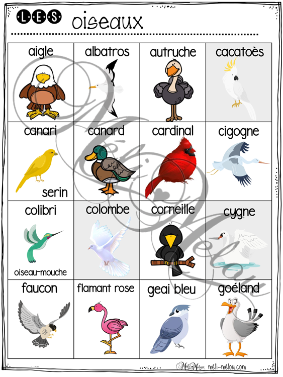 Lexique – Méli-Mélou