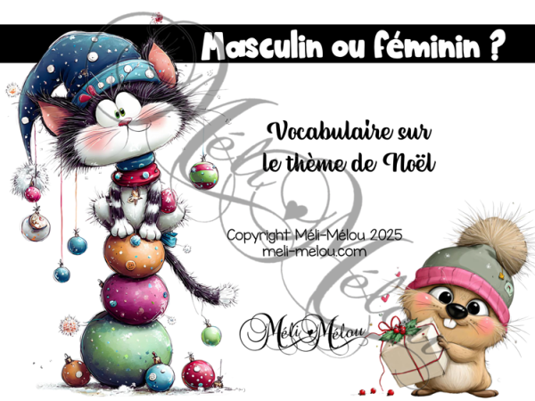 Cartes à tâches – Masculin ou féminin de Noël – Méli-Mélou